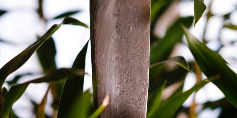 Cele mai bune cuțite japoneze din 2023